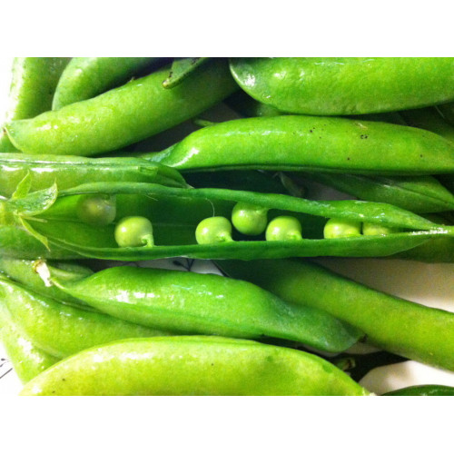 Pea –Greenfeast